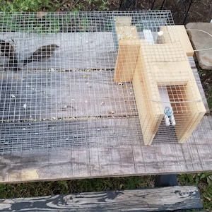 Original Deluxe Repeating Sparrow Trap full Copyright Directions ...