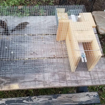 Original Deluxe Repeating Sparrow Trap full Copyright Directions ...