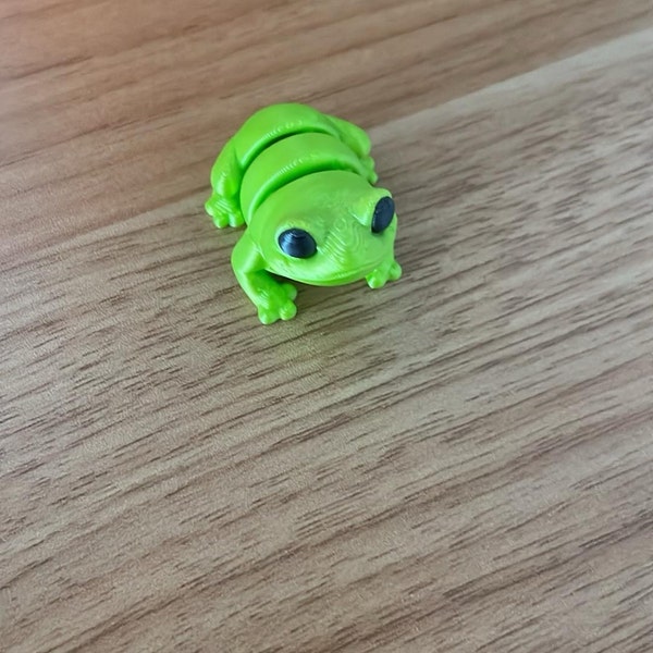 Fidget Frog Fidget Toy, Articulated Sensory Toy, Tiny Frogs, Flexible ...