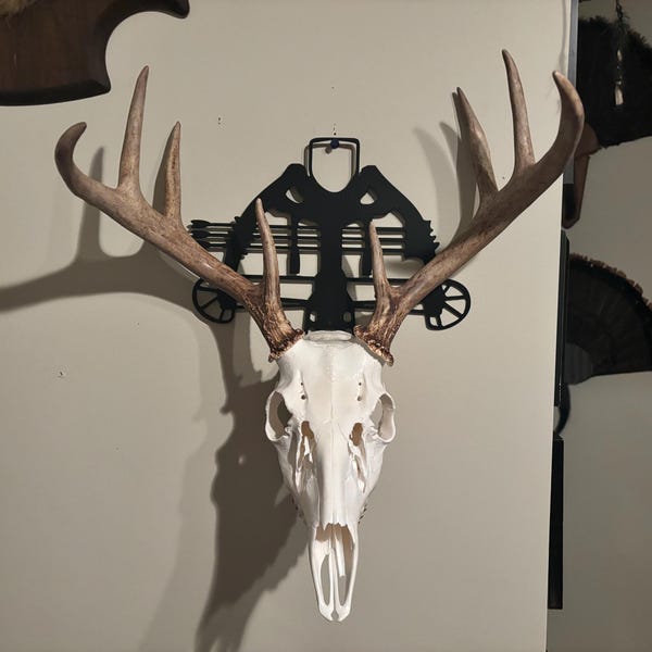 European Skull Mount Hanger (swivel) - Etsy
