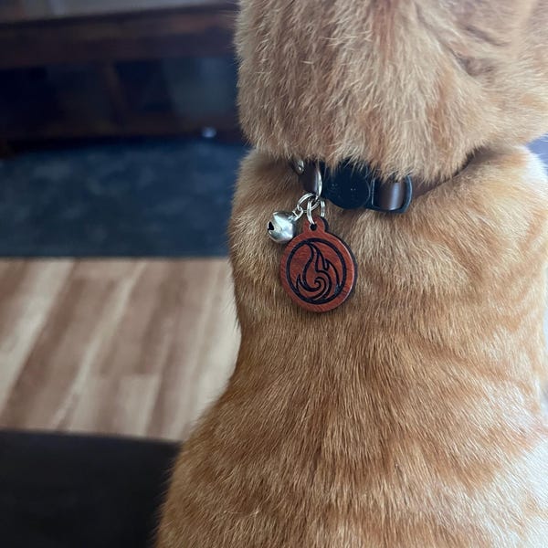 Binx is My Boo SVG - Etsy