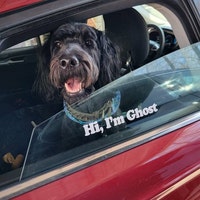 Static Funny Car Sticker JDM RWD Drift Stance Lowered Hydo Air Bag ...