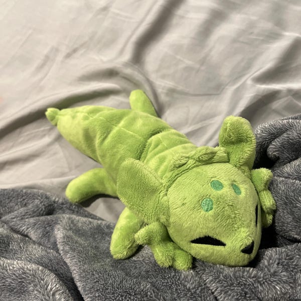 Travel Sized Slugcat Plush (please Read Description First) - Etsy