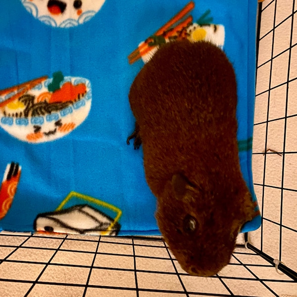 Guinea Pigs Pocket Pet Pouch - Etsy