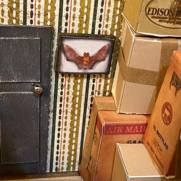 3 BAT Miniature Boxes Display Cases Set –1:12 Dollhouse Vampire Bat ...
