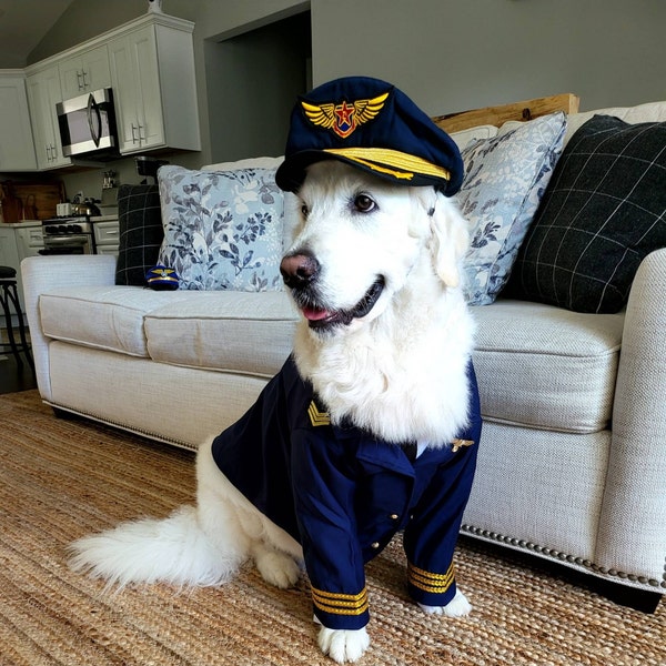 Custom Made Dog Cat Pet Pilot Captain Aviator Uniform Blazer Coat and ...