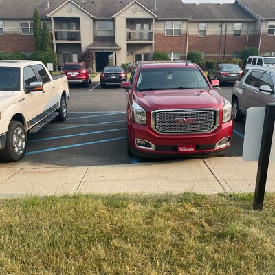 Delta Sigma Theta Women W/ Pyramid License Plate Mirror Background Red ...