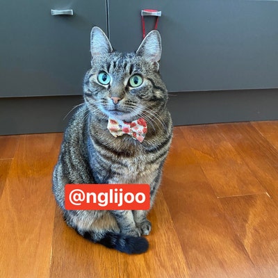KAWA BELLIS BLUE Japanese Cat Collar Bowtie Set // Take A Bow Handmade ...