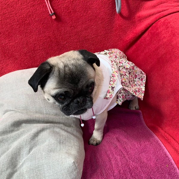 Fabulous Fido Dog Warm Sweater, French Bulldogs Winter Wool Clothes ...