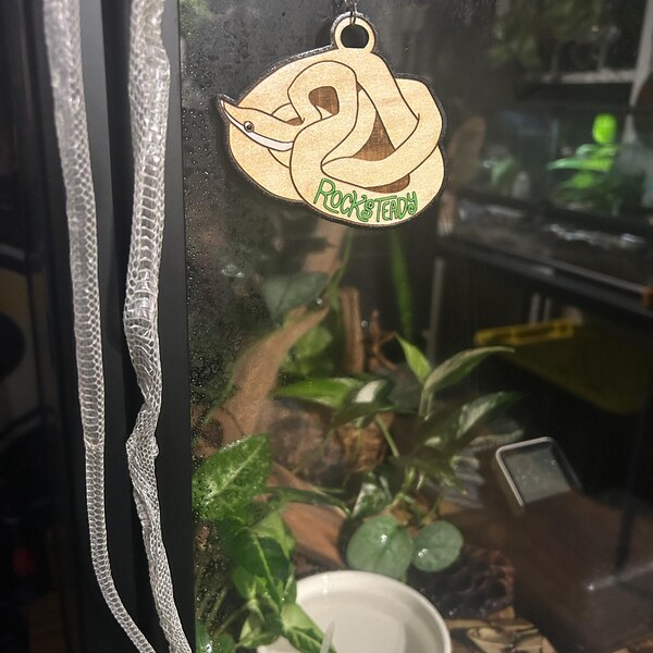 Custom Ball Python Enclosure Name Tag, Snake Name Tag, Enclosure Tag ...