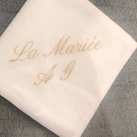 Custom Embroidered Diaper - Etsy