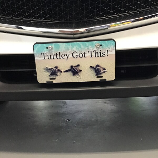 Sea Turtles License Plate - Etsy