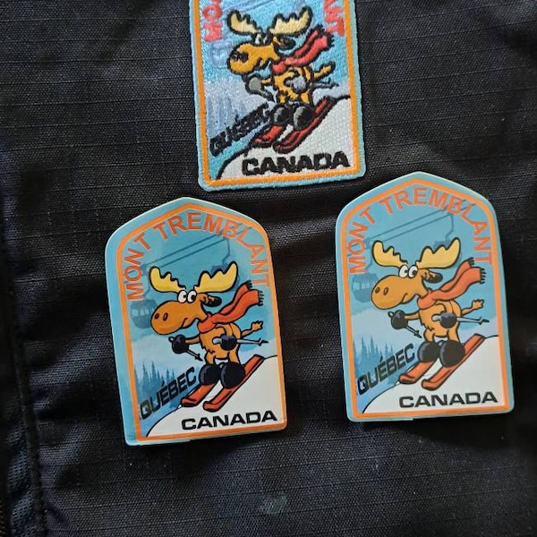 Motorcycle Helmet Sticker Cat on Motorcycle Sticker Gift for Cat Lovers ...