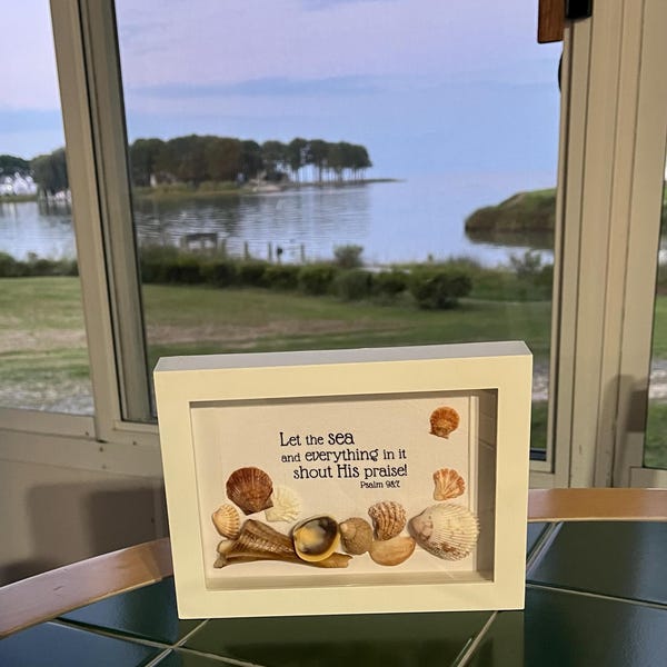 Shell Statement Shadow Box / SWFL - Etsy