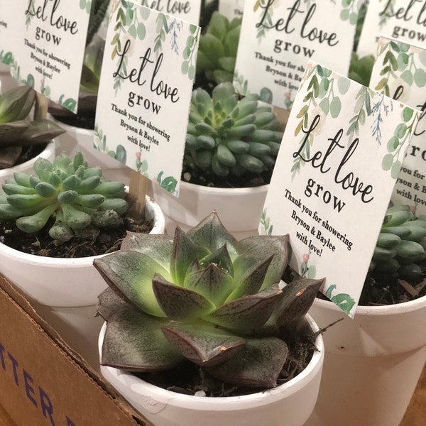 Let Love Grow Tags Printable, Let Love Grow Tag Template, EDITABLE ...