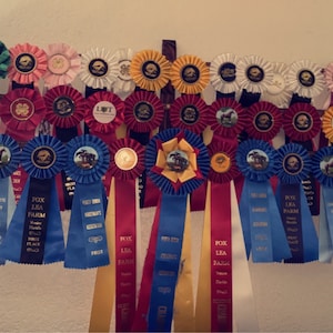 The Original Ribbon Rack - Etsy