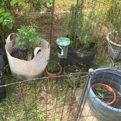 RING Spotlight Plus & Pro Cam Tree // A Tree or Post Mount for the RING ...