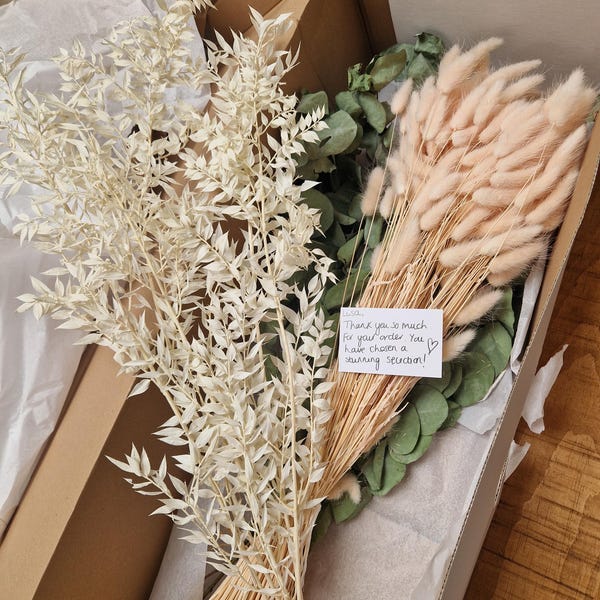 Preserved Ruscus | Bleached White | Dried Flowers - Etsy UK