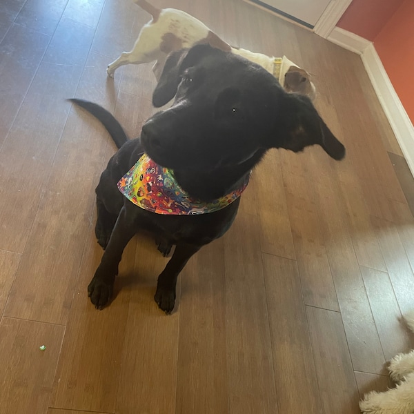 Magical Food Bandana Bib - Modern Baby Gift, Baby Bandana Bib, Unisex ...