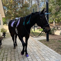 The Book of Ranch Riding Ranch Horsemanship Pattern Book for Ranch ...