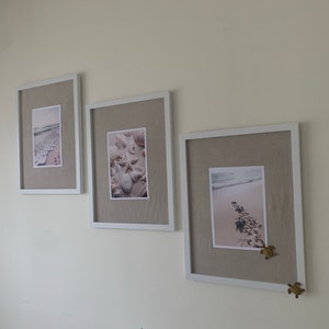 Starfish Shells Print P, Beach Wall Art, Sand, Seashells, Coastal, Zen ...