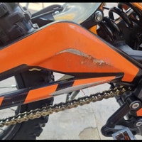 TALARIA STING Green Solid Full Color Change Graphics Kit Gloss - Etsy Canada