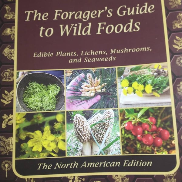 The Forager’s Guide to Wild Foods - Etsy
