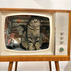 Vintage Tv Aquarium, Upcycling 60s Console Television, Vintage Aquarium ...