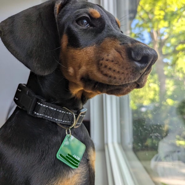 Frosted Dog Tag, Personalized Dog Tag, Dog Id Tag, Cat Name Tag, Pet ...