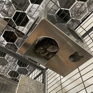 Wood Bridge Ramp Step Ledge Swing With Perch for Chinchilla | Etsy