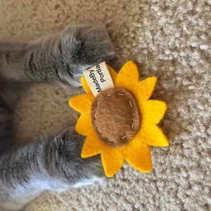 Bomb Pop Cat Toy Organic Catnip Wool-blend Felt - Etsy