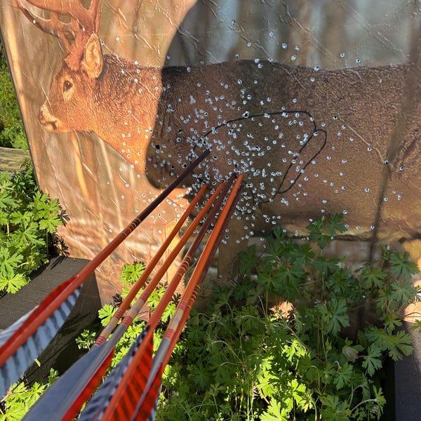 12 Hand Painted Port Orford Cedar Wood Arrows. WEIGHT MATCHED, 45-50 ...