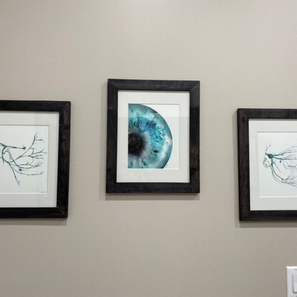 Iris Watercolor Print - Abstract Eye Art - Anatomy Art - Optometry and ...