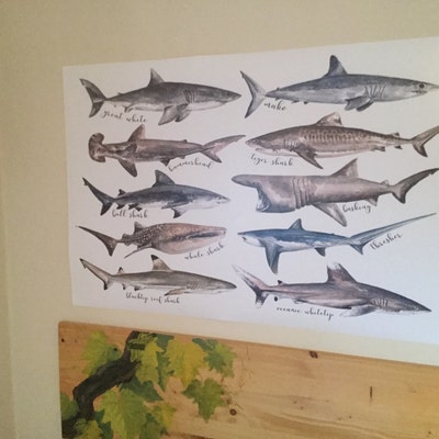 PRINTABLE Sharks of the World Wall Art, Great White Shark, Mako ...
