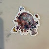 Placenta Sticker Newborn Organs human Body Floral Sticker Colorful ...