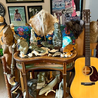 110.6 Beautiful Siratus Alabaster ALABASTER MUREX Seashell - Etsy