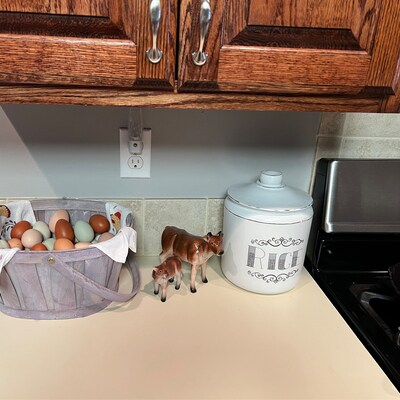 Rustic Cookie Jar, Farmhouse Cookie Jar, Gallon Glass Cookie Jar ...