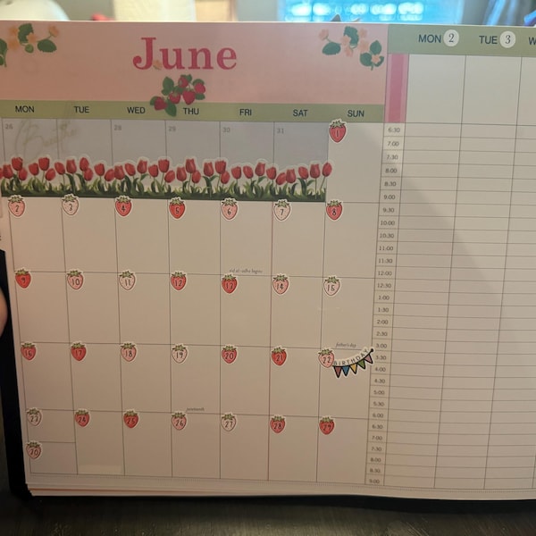 June Monthly Bullet Journal Sticker Kit Strawberry Themed Sticker ...