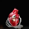 Realistic Heart-shaped Box 2 Styles Anatomical Heart - Etsy