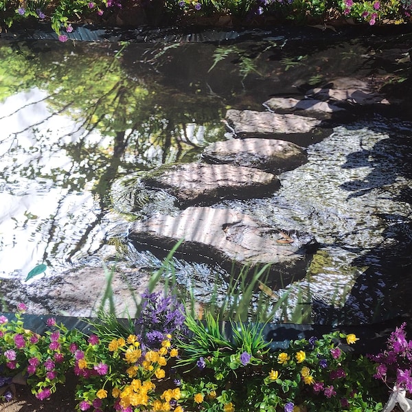 3D Starfish Beach S1077 Pattern Tile Marble Stair Risers Decoration ...