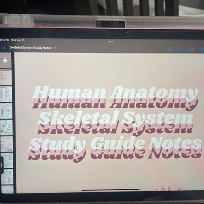 Human Anatomy Complete Study Bundle Anatomy Notes & Study Guide - Etsy