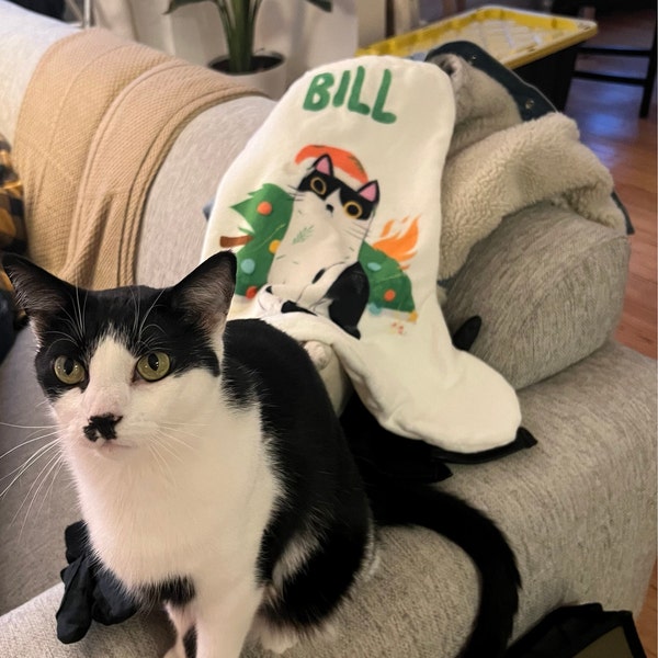 Personalized Cat Christmas Stocking, Jolly Orange Cat Wearing Stocking ...