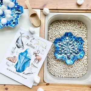 Tree Nature Study BUNDLE Charlotte Mason, Unit Study - Etsy