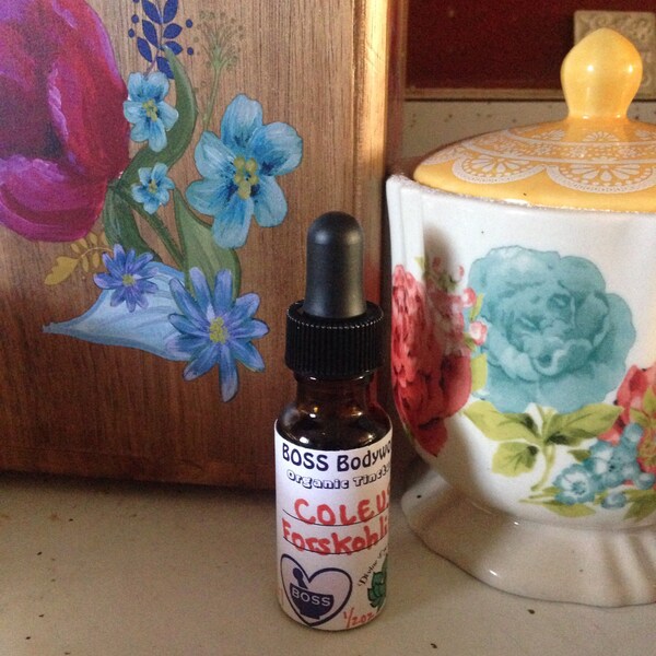 Organic COLEUS FORSKOHLII ROOT Tincture - Ayurvedic Herbal Extract - Etsy
