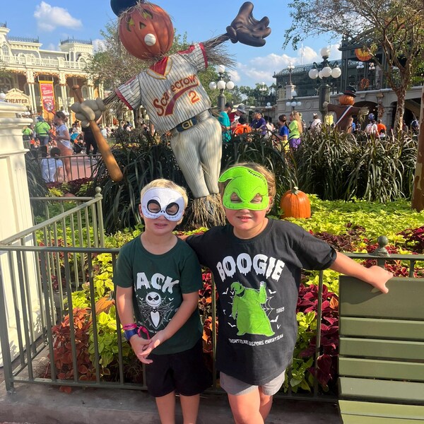 Cougar Mountain Lion Puma Dress Up/pretend Play Mask Zoo Animal Costume ...