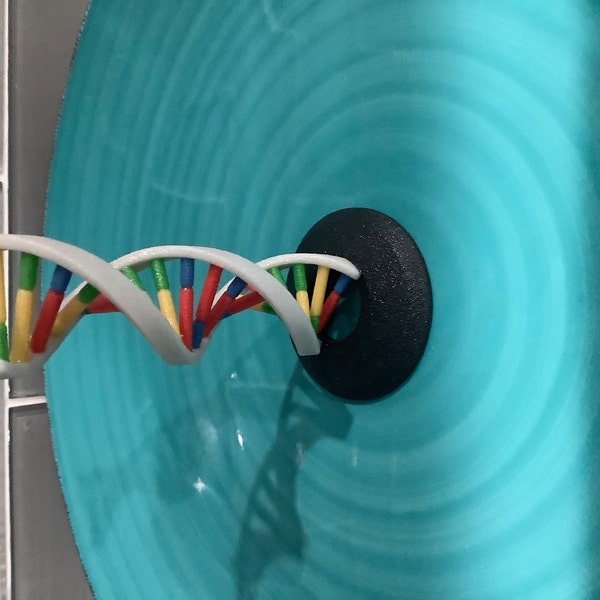 DNA Helix Desk Model Display Ornament 3D Printed Glossy Color Sandstone ...