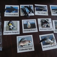 Wooden Stair Block Patterns 10 Colorful Wooden Blocks and - Etsy