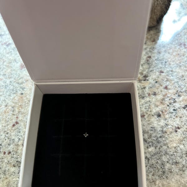 Easy to Use Titanium Piercing Jewelry Insertion Pin, Flat Back Earring ...