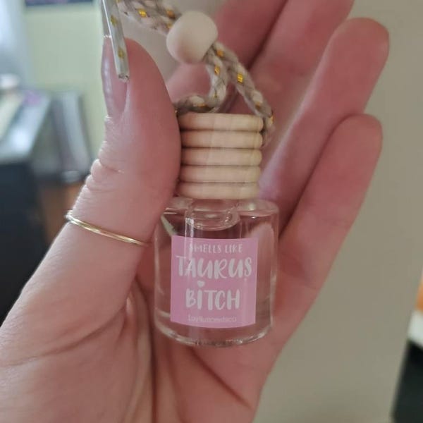 Jesus Take the Wheel Car Diffuser Car Air Freshener Christian Scented ...