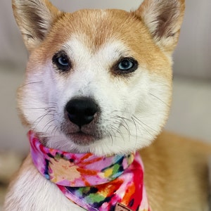 Concha Dog Squeaky Toy Concha Toy Mexican Sweet Bread Toy | Etsy